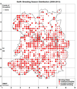 Action Plan: Swift | Shropshire Ornithological Society